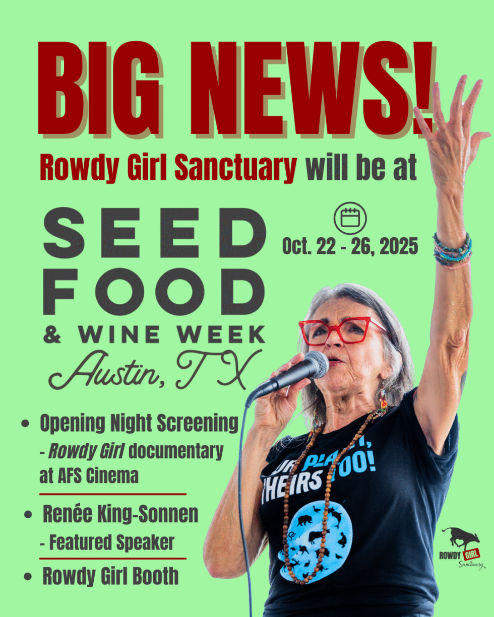 Rowdy Girl Sanctuary